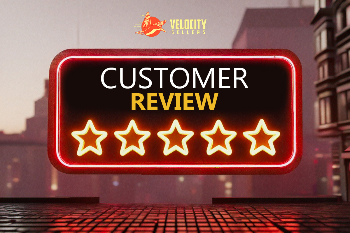 Vine Customer Review of Free Product: Key Insights You Need - Velocity ...
